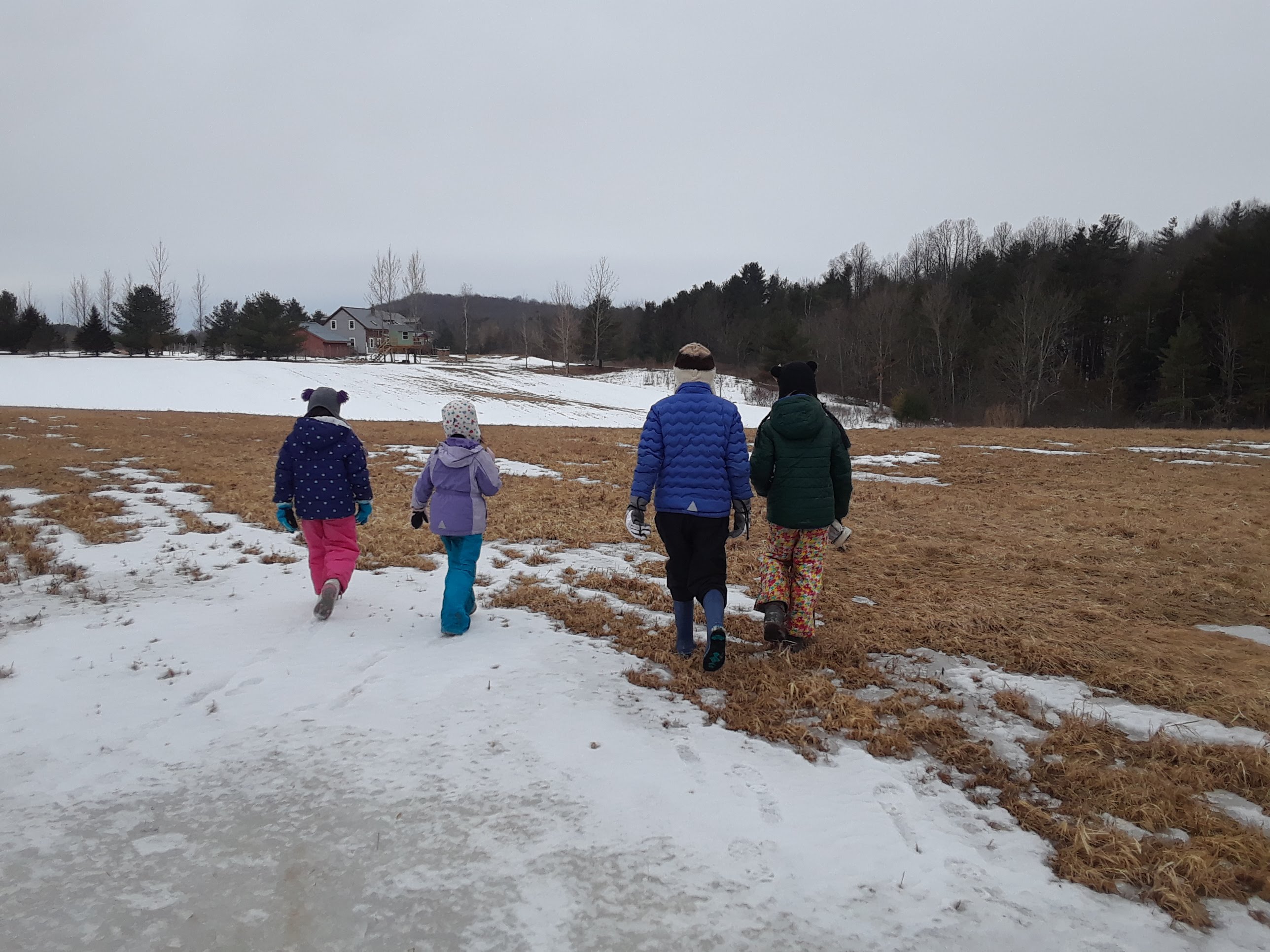 Spring, Tweens, and Other Liminal Things – The Pickle Patch